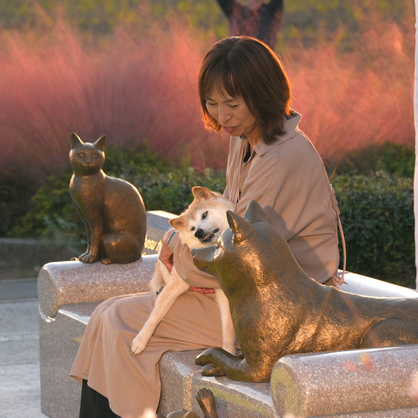 World record attempt set for Doge Day 2024 in Japan