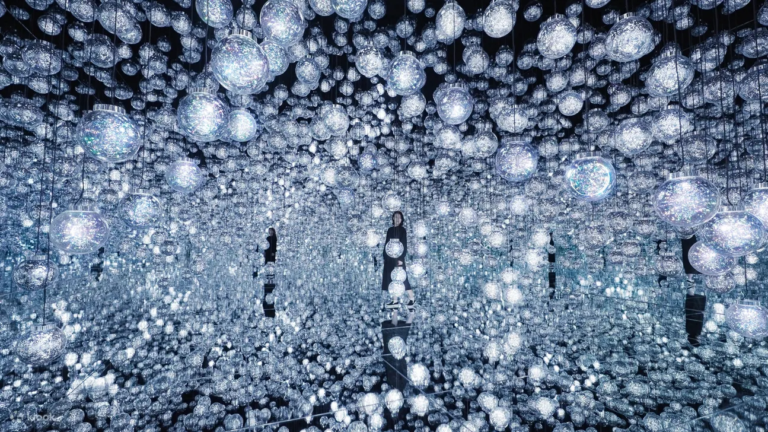 teamLab Borderless: MORI Building DIGITAL ART MUSEUM