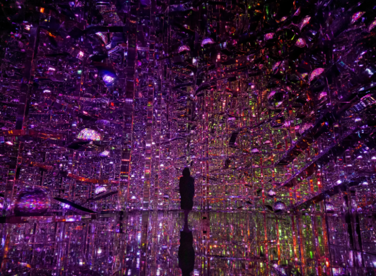 teamLab Borderless: MORI Building DIGITAL ART MUSEUM