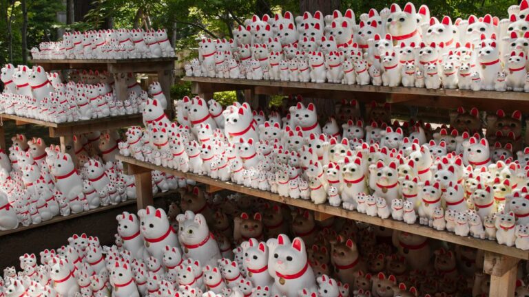 What is Japan's Cat Day and why is it celebrated in February?