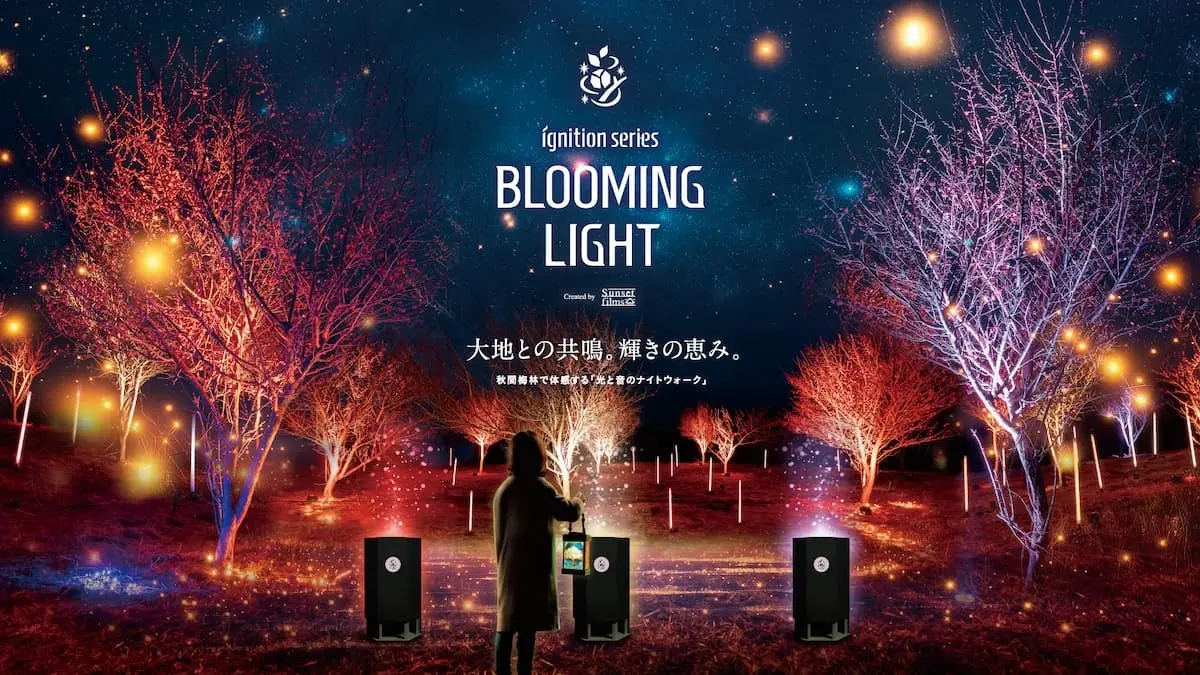 View plum blossoms at night with immersive illuminations in Gunma