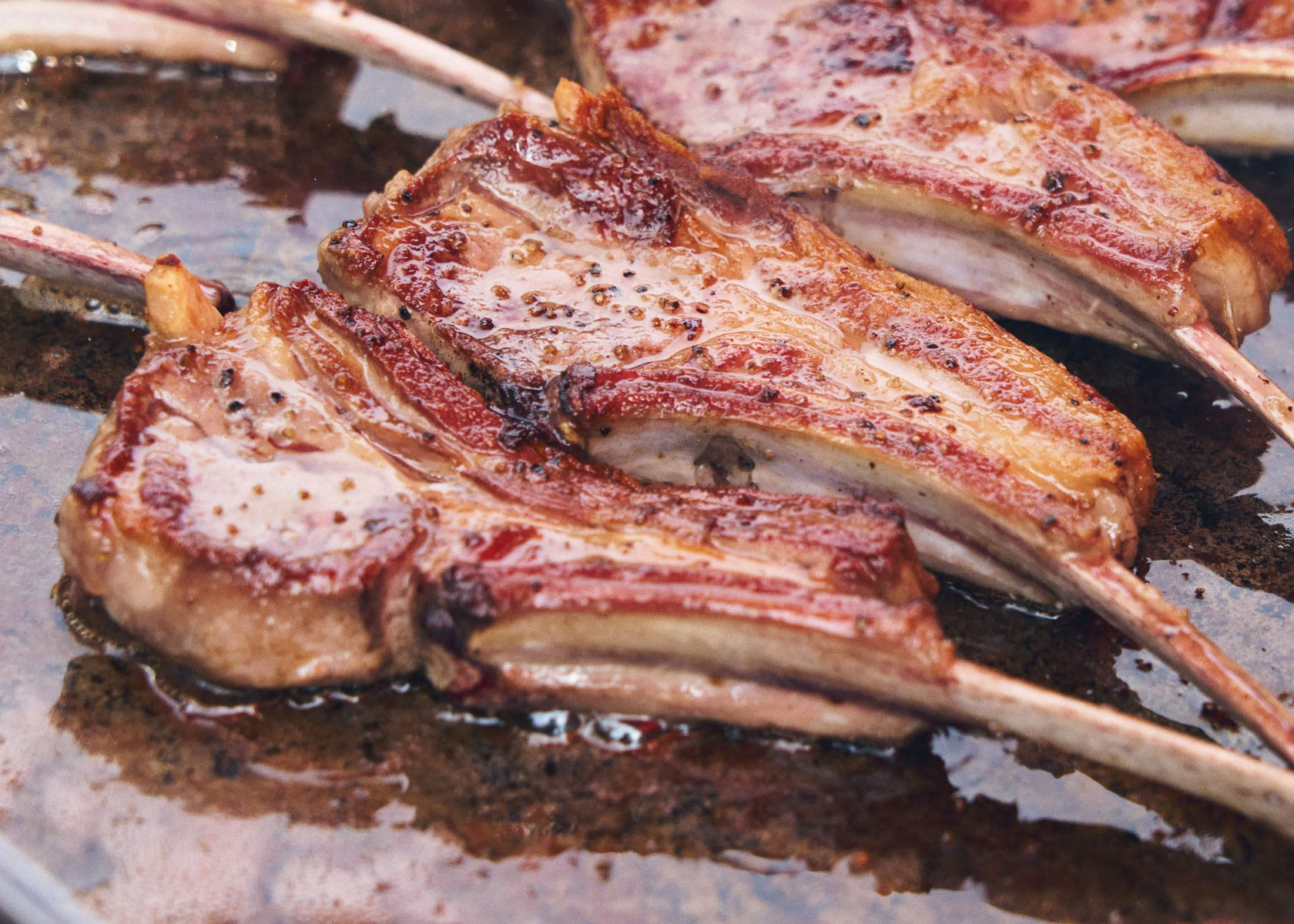 Lambassador Festival