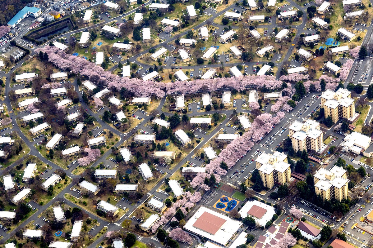 Yokota Air Base Sakura Spring Festival