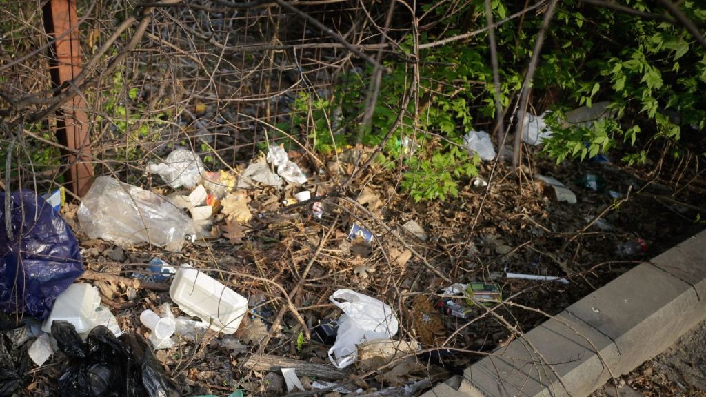 Lack of trash cans voted number one inconvenience for visitors to Japan