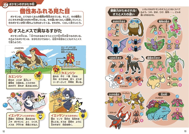 "Pokémon Encyclopedia" preview offers a sneak peek at 10 illustrated pages