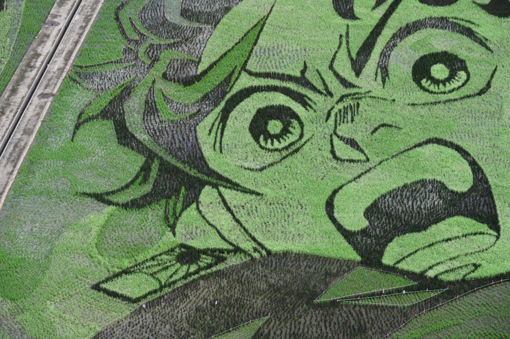 New rooftop tour offers unobstructed views of Demon Slayer rice paddy art