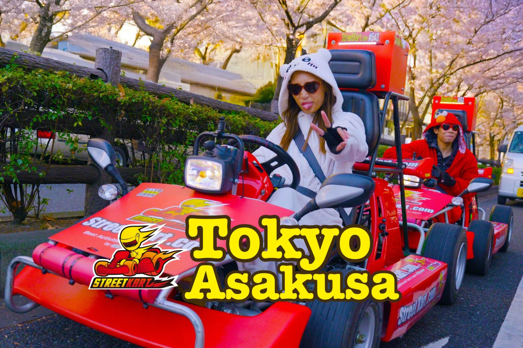 Asakusa Street Go-Kart Adventure: Drive the Streets in Style!