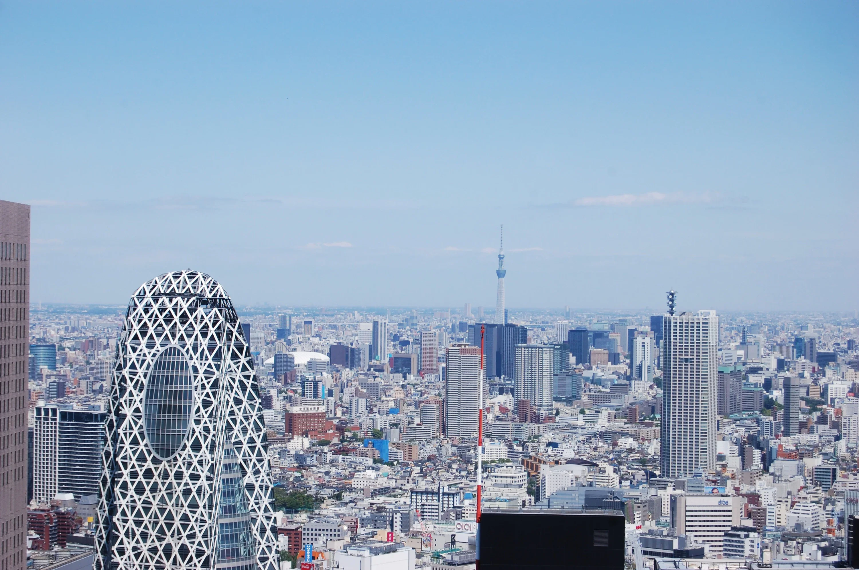 Discover Tokyo: City Tour, Meiji Shrine & Skytree with Cruise