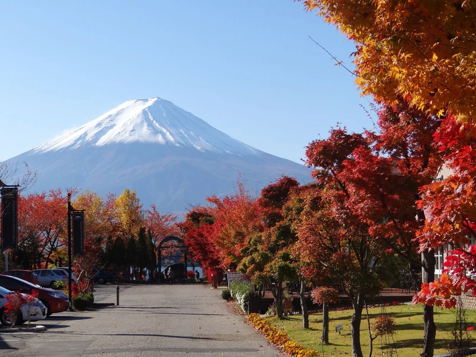 Mt. Fuji Fall Foliage Day Tour: Kawaguchiko Maple Corridor & Scenic ...