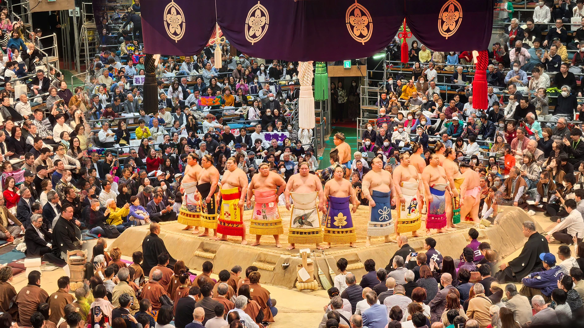 Experience the Thrill of Tokyo Grand Sumo: Tournament Tickets & Expert ...