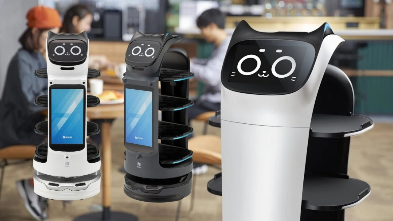 Japan's cat-eared robot waiters are being turned into a super cute ...