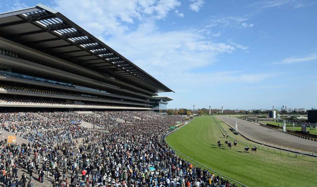 Uma Musume's "Taurus Cup" kicks off this week with new PvP races