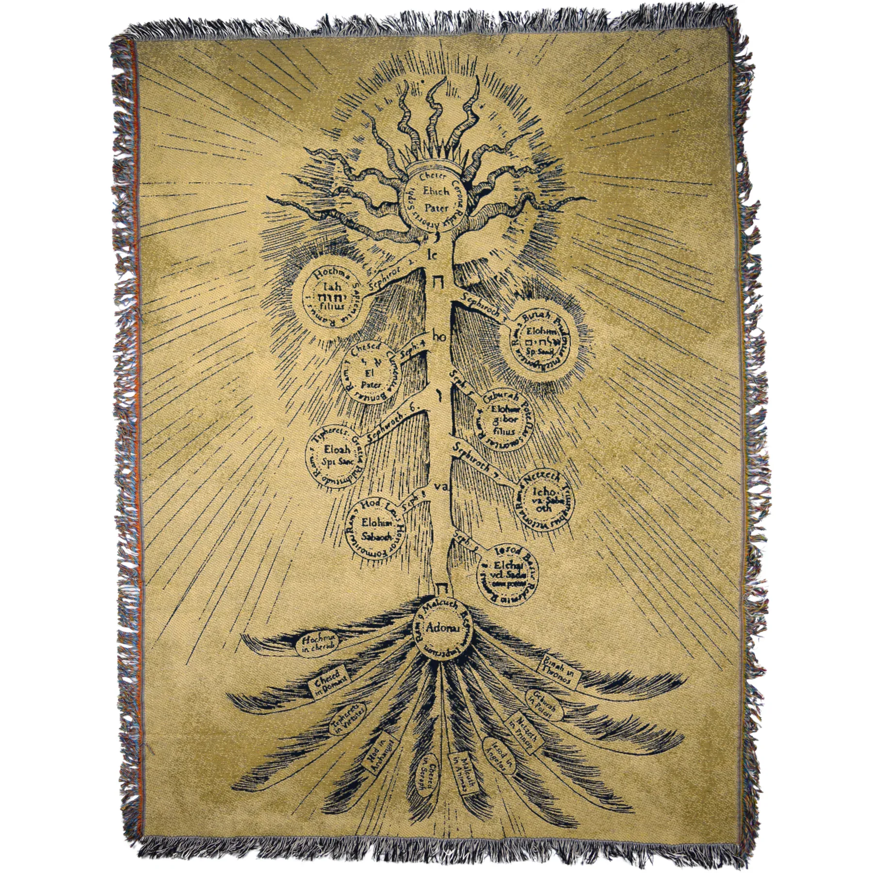 Steady Hands launches huge new Fullmetal Alchemist: Brotherhood apparel ...